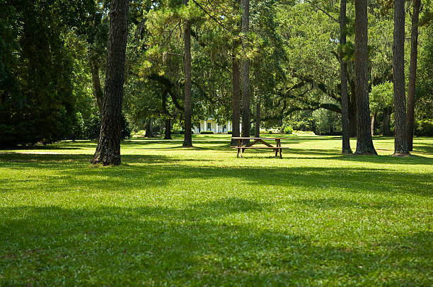 Free picture: garden, lawn, park, wood, summer, grass, playground ...