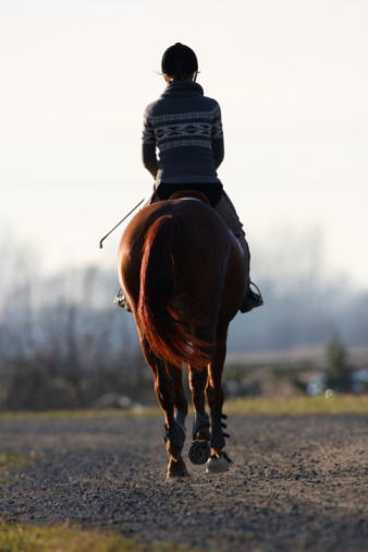 여성 승마 Rider 가축에 대한 스톡 사진 및 기타 이미지 가축 걷기 레저 추구 Istock