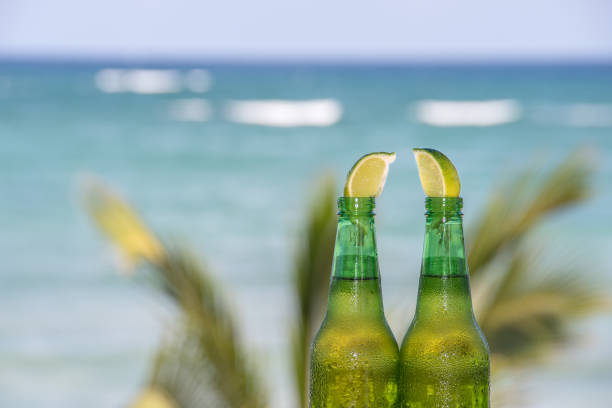 Free Stock Photo of Sweating Beer | Download Free Images and Free ...