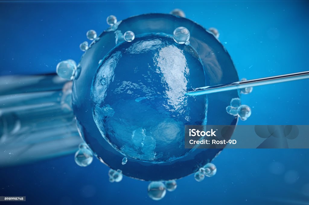 3d Illustration Artificial Insemination Fertilisation Injecting Sperm