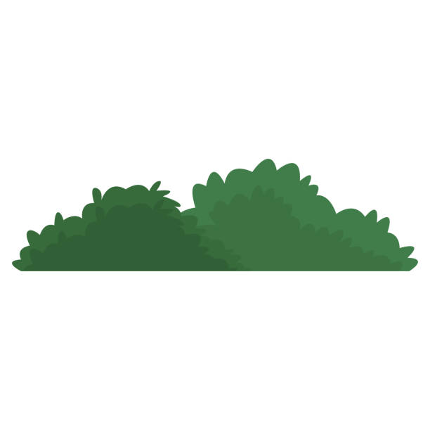 Download Bush, Foliage, Gardening. Royalty-Free Vector Graphic - Pixabay