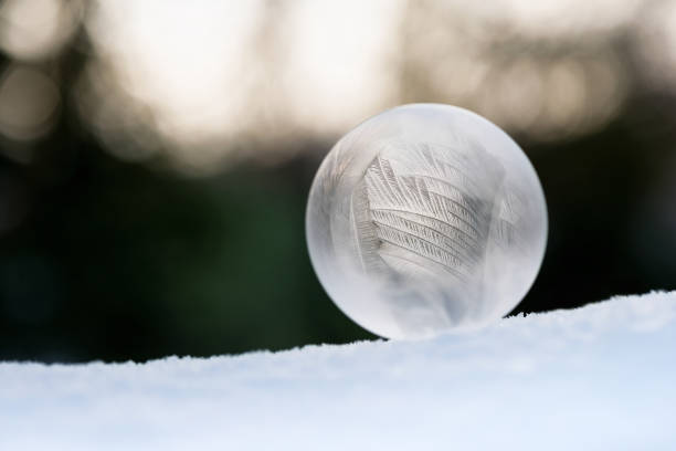Frozen Bubble Pictures | Download Free Images on Unsplash