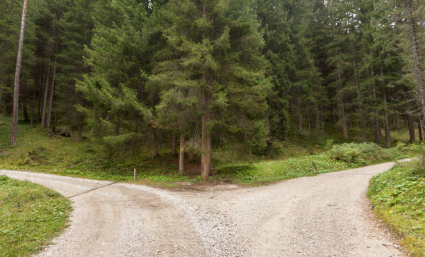 Road Split Pictures | Download Free Images on Unsplash