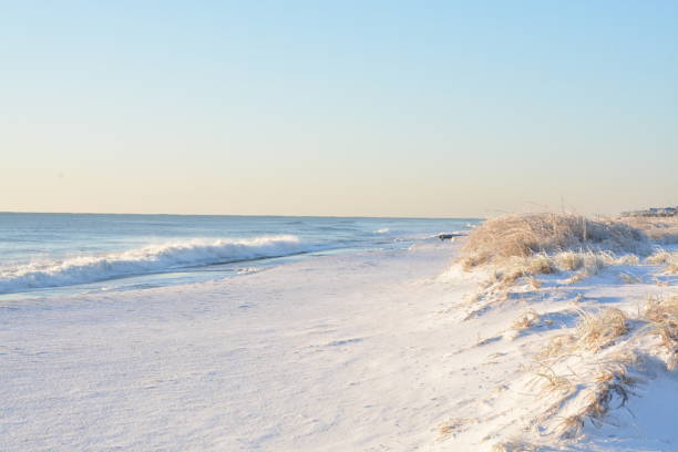 Snow Beach Pictures | Download Free Images on Unsplash