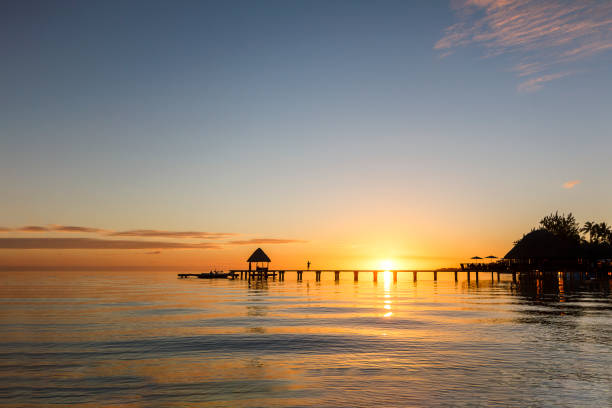 Free Stock Photo of Long Tropical Pier at Sunset | Download Free Images ...