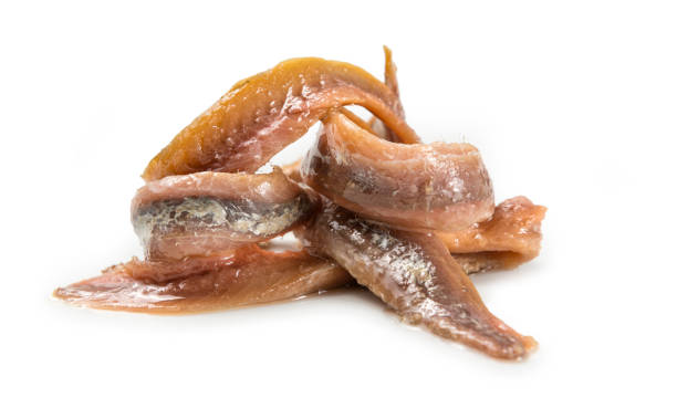 Anchovy Pictures | Download Free Images on Unsplash