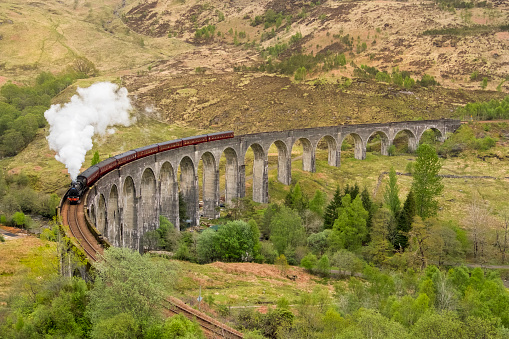 Glenfinnan 육교스코틀랜드 5월에 대한 스톡 사진 및 기타 이미지 5월 경관 계곡 Istock
