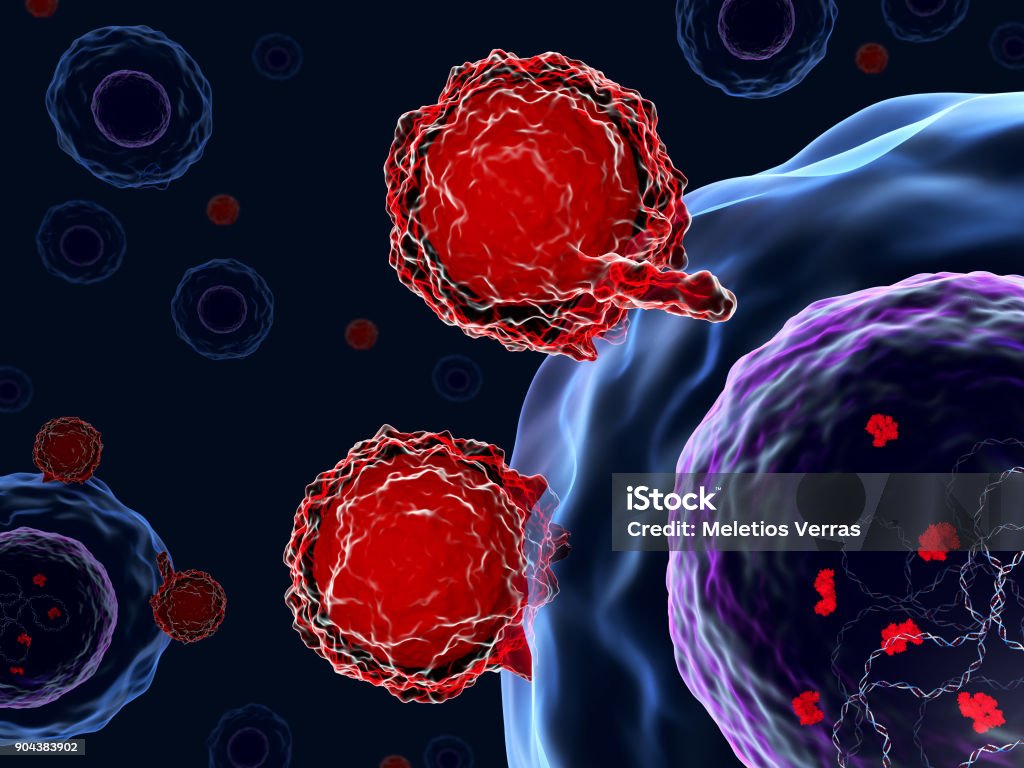 Crisprcas9 인간 세포를 공격 하는 T 세포 크리스퍼에 대한 스톡 사진 및 기타 이미지 크리스퍼 유전자 치료