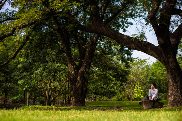 Free Stock Photo of Man Standing Under Large Tree in Park | Download ...