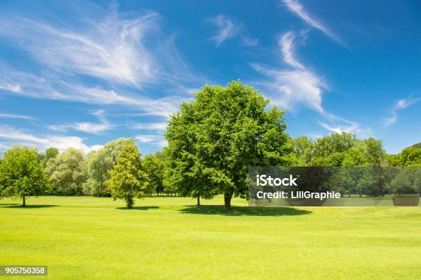 Lapangan Golf Lanskap Lapangan Hijau Langit Biru Yang Indah Foto Stok ... Lapangan Golf Lanskap Lapangan Hijau Langit Biru Yang Indah Foto Stok ...