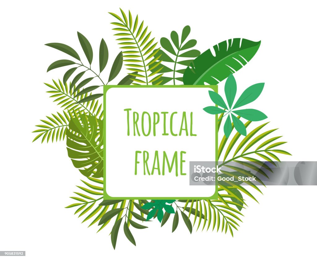 Bingkai Tropis Persegi Template Dengan Tempat Untuk Teks Ilustrasi ... Bingkai Tropis Persegi Template Dengan Tempat Untuk Teks Ilustrasi ...