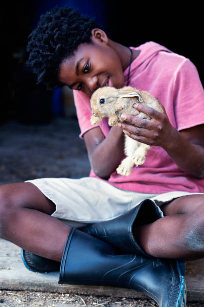 Black Rabbit Pictures | Download Free Images on Unsplash