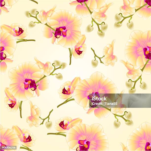 Seamless Texture Stem Orchids Flowers Yellow Phalaenopsis Tropical