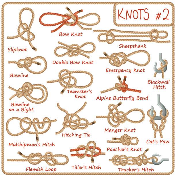 260+ Bed Sheet Rope Stock Illustrations, Royalty-Free Vector Graphics ... 260+ Bed Sheet Rope Stock Illustrations, Royalty-Free Vector Graphics ...
