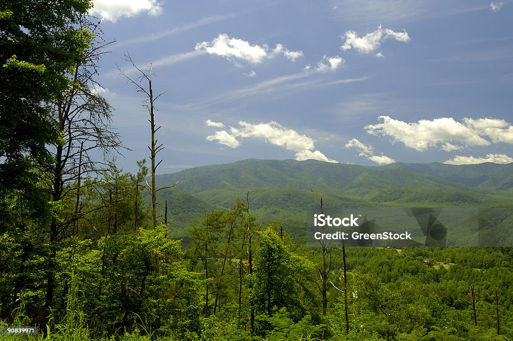 스모키 산맥 기슭에 Parkway East 경관에 대한 스톡 사진 및 기타 이미지 경관 경외감 관광객 Istock