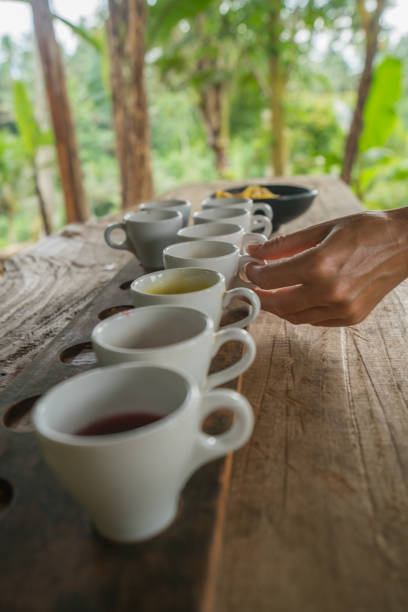 Tea Tasting Pictures | Download Free Images on Unsplash