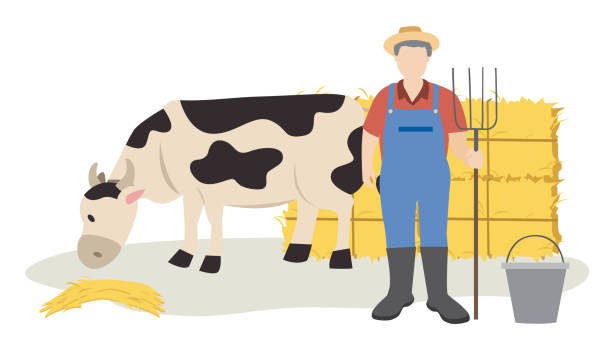 700 Pacas De Ropa Ilustraciones De Stock Gráficos Vectoriales Libres De Derechos Y Clip Art