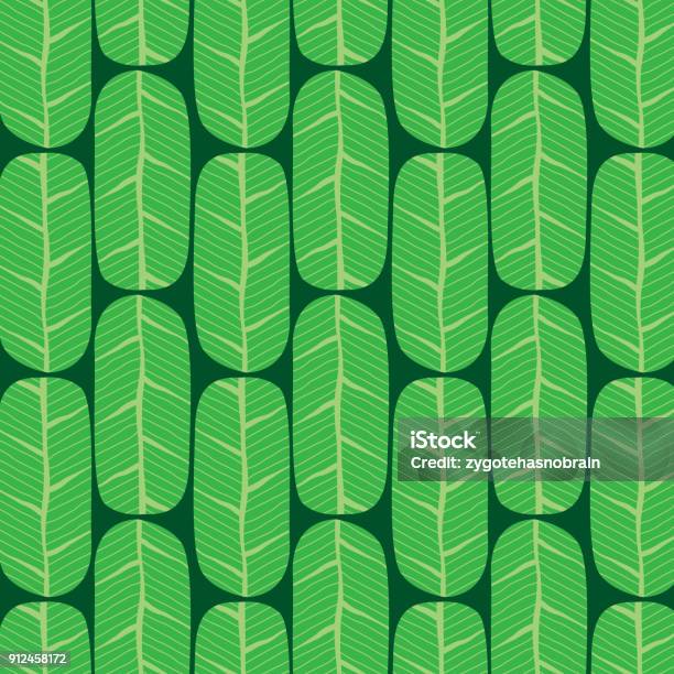Ilustrasi Vektor Pola Daun Pisang Hijau Ilustrasi Stok Unduh Gambar