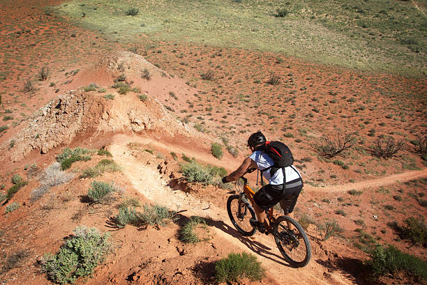Free Stock Photo of Singletrack trail | Download Free Images and Free ...