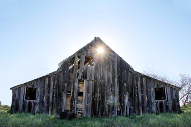 Free Stock Photo of Sun shines into an old barn | Download Free Images ...