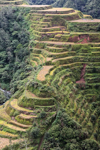 Banaue 마을 쌀 테라스가 있는 주요 관점에서 본 Ifugao 지방루손 섬phlippines입니다 0189 0명에 대한 스톡