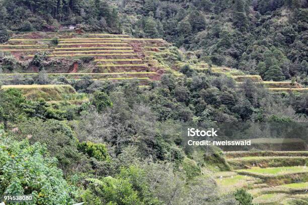 Banaue 마을 쌀 테라스가 있는 주요 관점에서 본 Ifugao 지방루손 섬phlippines입니다 0192 0명에 대한 스톡
