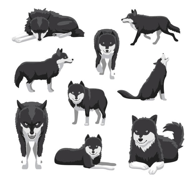 Free Wolf Running Vector Art - Download 906+ Wolf Running Icons ...