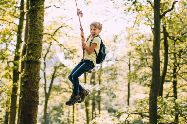 Tree Swing In The Woods – Free Stock Photo