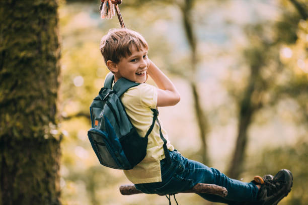 Tree swing in the woods | Free Stock Image - Barnimages