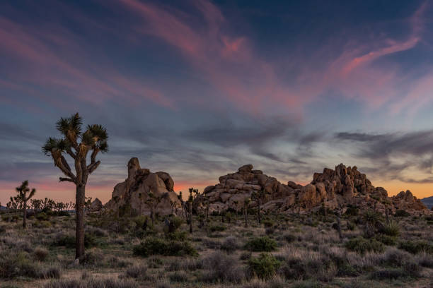 Subtle Night Sky – Free Nature Stock