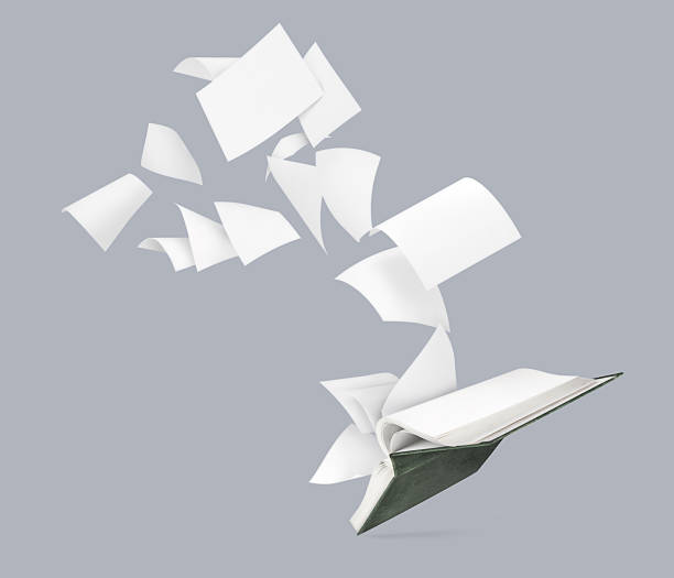 Flying Paper Pictures | Download Free Images on Unsplash