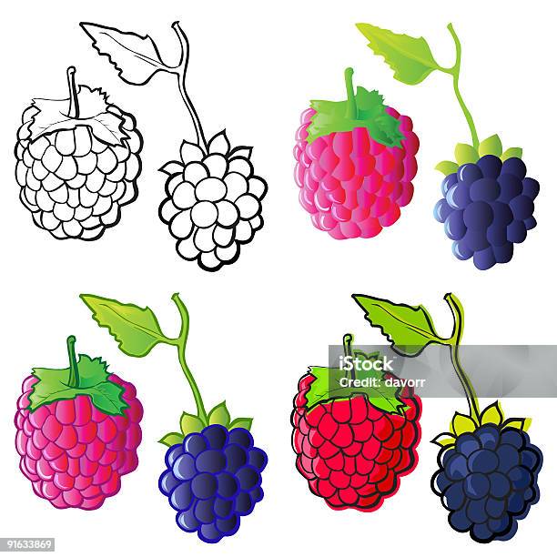 Blackberry 산딸기 블랙베리에 대한 스톡 벡터 아트 및 기타 이미지 블랙베리 식물 일러스트레이션 Istock