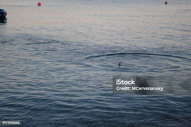Melempar Batu Ke Laut Untuk Memantul Di Permukaan Air Foto Stok - Unduh ... Melempar Batu Ke Laut Untuk Memantul Di Permukaan Air Foto Stok - Unduh ...