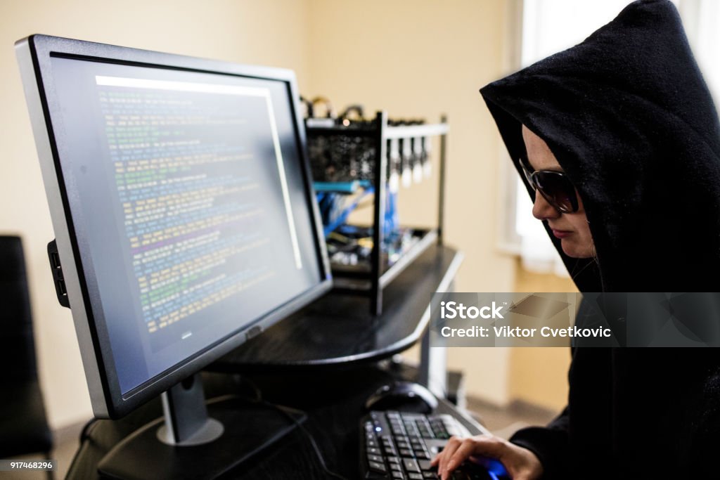 Young Female Computer Programmer As Hacker Stock Photo - Download Image ... Young Female Computer Programmer As Hacker Stock Photo - Download Image ...