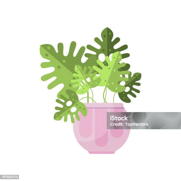 Philodendron 집 식물 실내 꽃 냄비 우아한 가정 장식 벡터 일러스트 레이 션에 0명에 대한 스톡 벡터 아트 및 기타