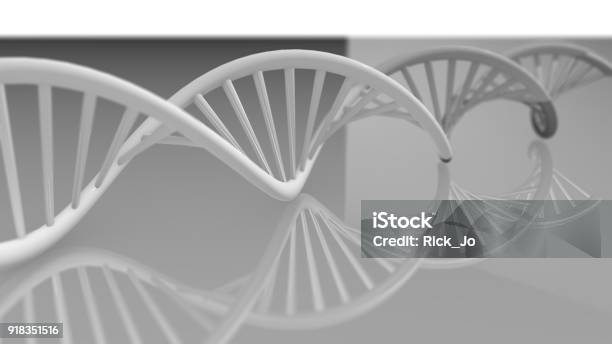 Crispr Cas9 유전자 조작 Dna 수리 메커니즘 유전 공학 3차원 형태에 대한 스톡 사진 및 기타 이미지 3차원 형태