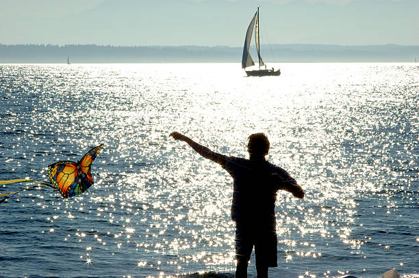 Free Stock Photo of Man Flying Kite Over Water | Download Free Images ...