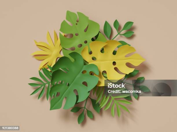 3d 렌더링 열 대 종이 나뭇잎 꽃다발 Papercraft 녹색 Monstera 팜 잎 정글 배경 단풍 식물 종이 예술 자연