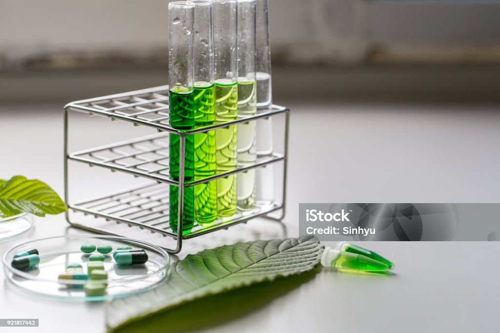 Mitragyna 천 엽 및 실험실에서 화학 분석의 과학 연구 단풍 Stem 주제에 대한 스톡 사진 및 기타 이미지 Stem
