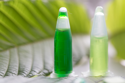 Mitragyna 천 엽 및 실험실에서 화학 분석의 과학 연구 단풍 Stem 주제에 대한 스톡 사진 및 기타 이미지 Stem
