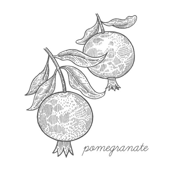 90 Malnutrition Backgrounds Stock Illustrations Royalty Free Vector