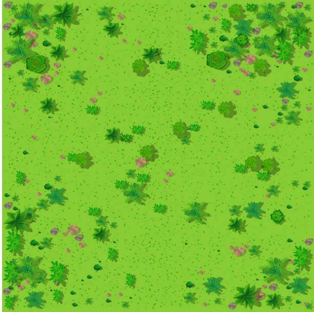 1400 Forest Grass Top Down Stock Illustrations Royalty Free Vector