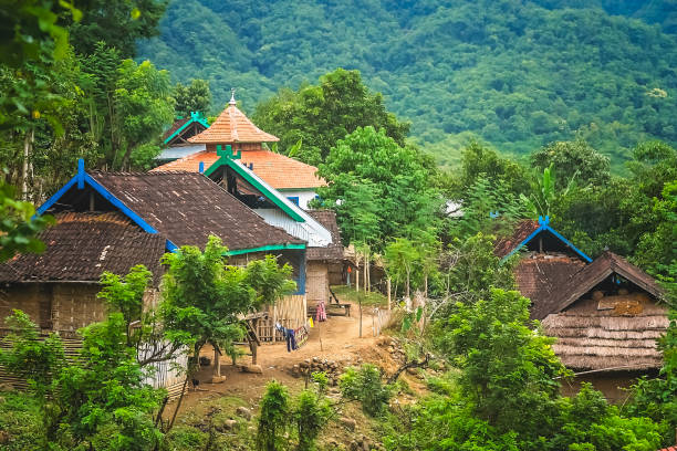 Indonesia Village Pictures | Download Free Images on Unsplash