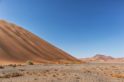 Sossusvlei 사막 나미비아입니다 빨간 언덕 숲입니다 0명에 대한 스톡 사진 및 기타 이미지 0명 갈색 건조한