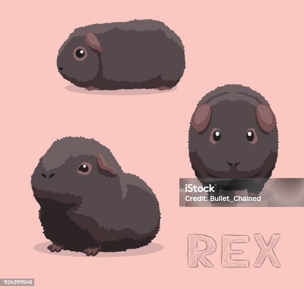 Meerschweinchen Rex Cartoon Vektorillustration Stock Vektor Art und ... Meerschweinchen Rex Cartoon Vektorillustration Stock Vektor Art und ...