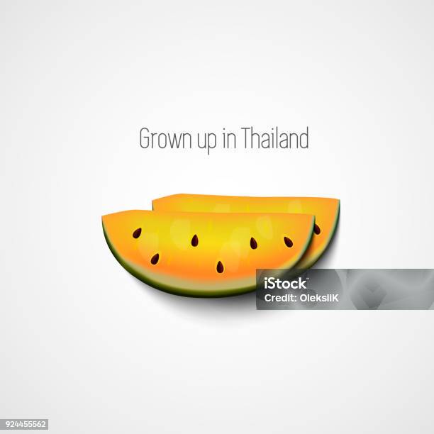 Demitranche Melon Deau Isolée Illustration Vectorielle Symbole De Lété