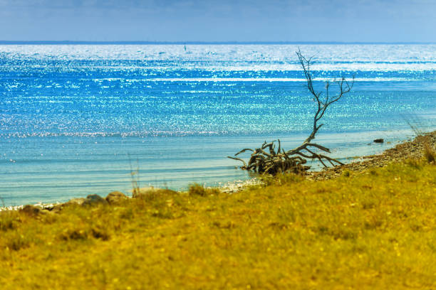 Minimal blue Baltic sea | Free Stock Image - Barnimages