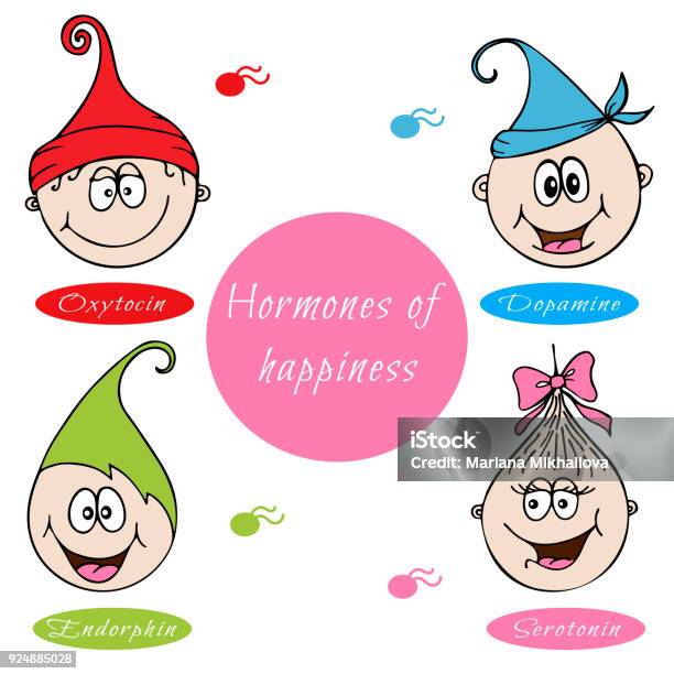 Vector Hormones Of Happiness Dopamine Endorphin Oxytocin Serotonin ... Vector Hormones Of Happiness Dopamine Endorphin Oxytocin Serotonin ...