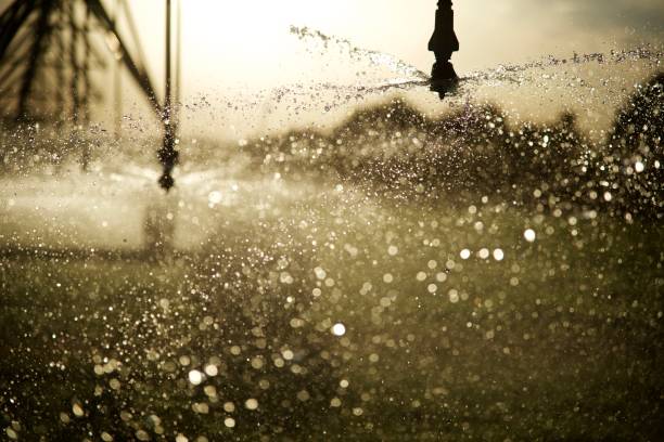 Wate Pictures | Download Free Images on Unsplash