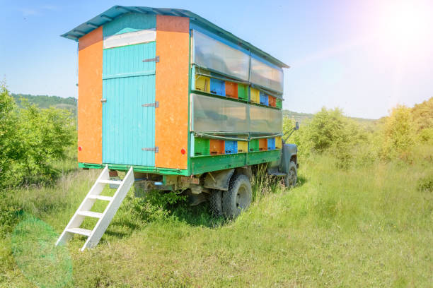 Free picture: beehive, truck, trailer, boxes, vehicle, transport, cargo ...